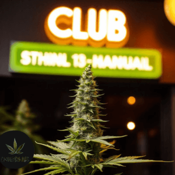 Was ist Ott? Ott Droge einfach erklärt!